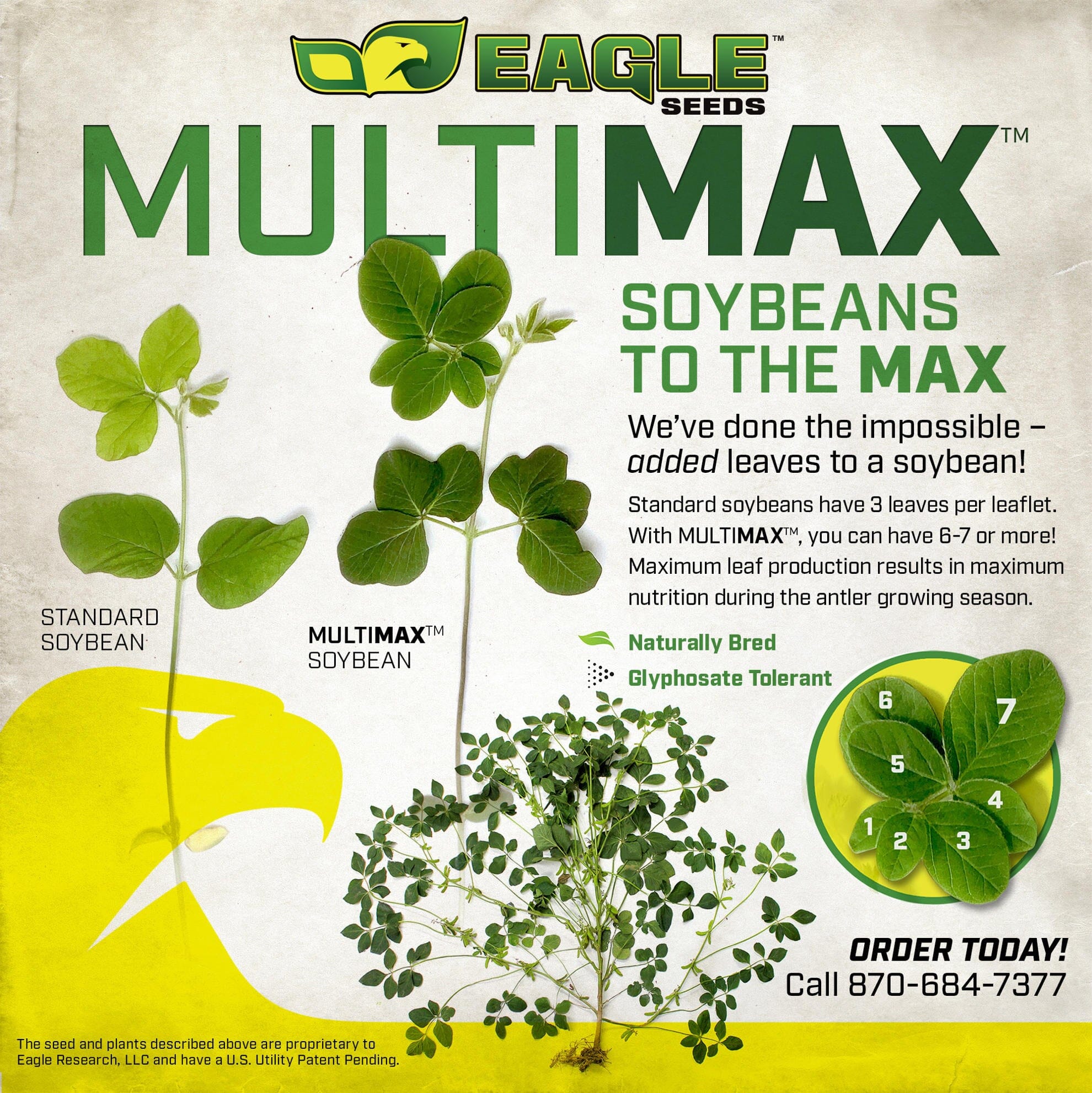Eagle MULTIMAX Soybeans – Drop-Tine Seed Co